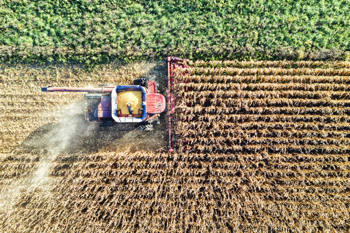 How Farming Impacts the Environment | RYTHM Foundation